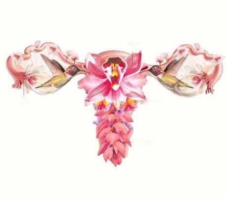 Yoni Health – Natural Yoni Eggs